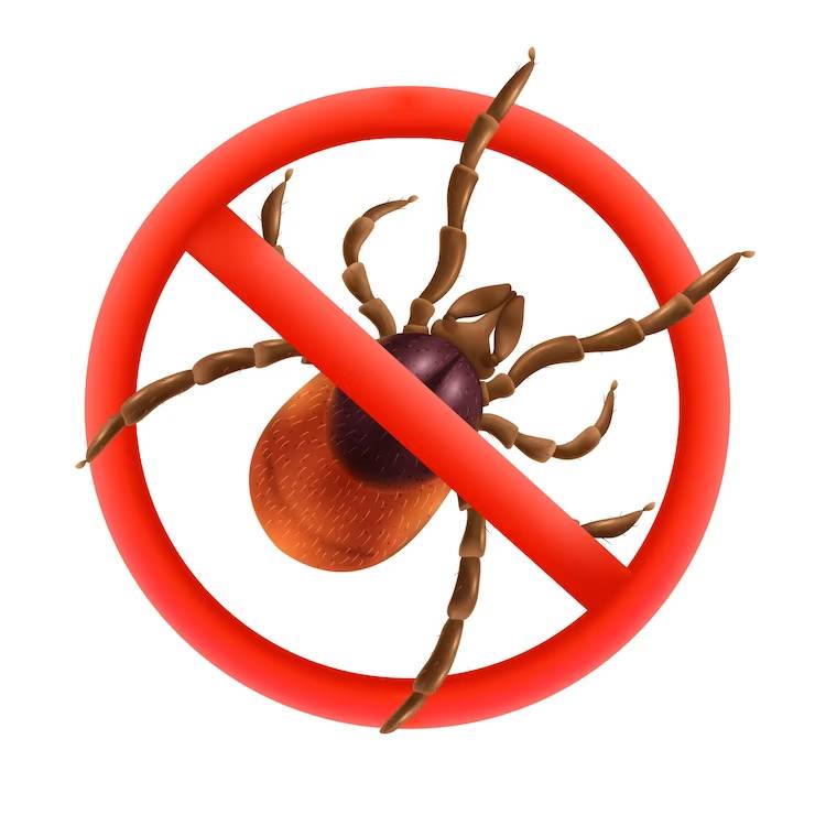 Kousnutí od roztoče: co může způsobit? | BOVRAM.cz